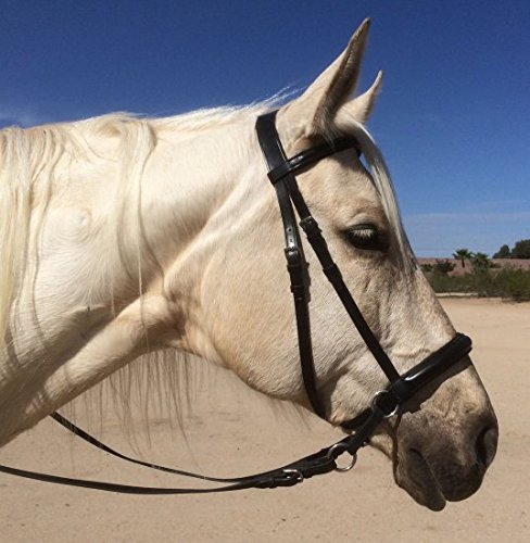 The Most Comprehensive Bitless Bridle Reviews - Best Horse Gears
